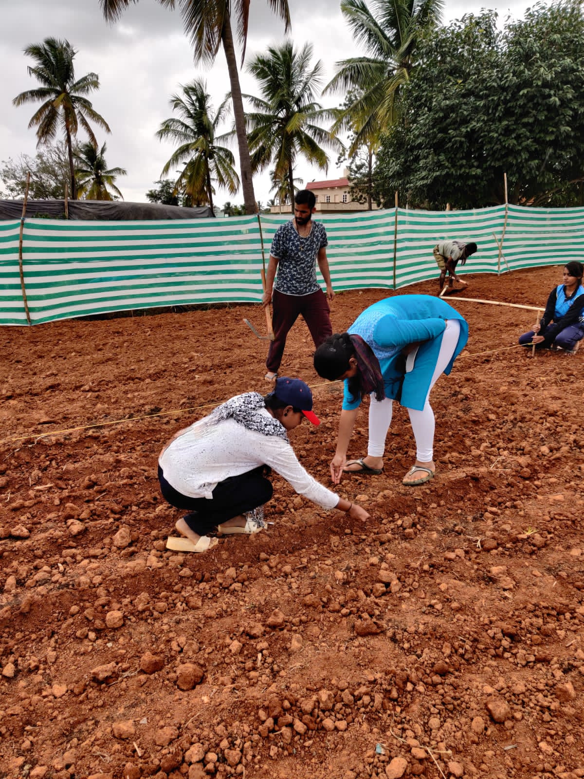 CROP MUSEUM – DEPARTMENT OF AGRICULTURAL EXTENSION, COLLEGE OF ...