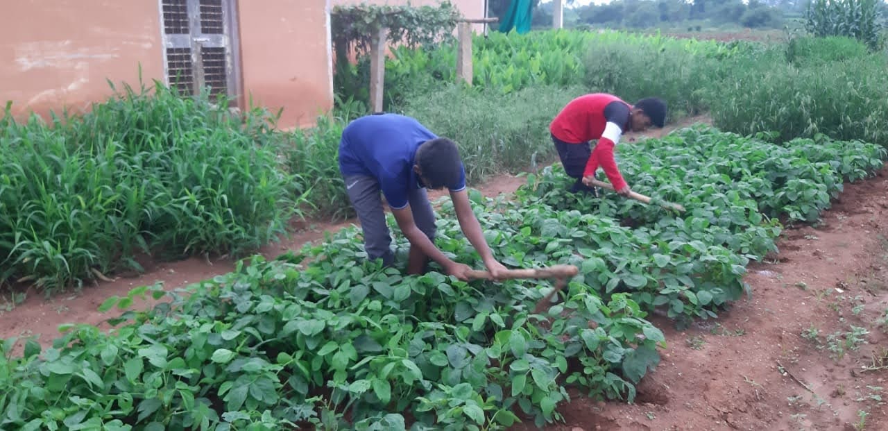 crop museum-krishirathna – DEPARTMENT OF AGRICULTURAL EXTENSION ...
