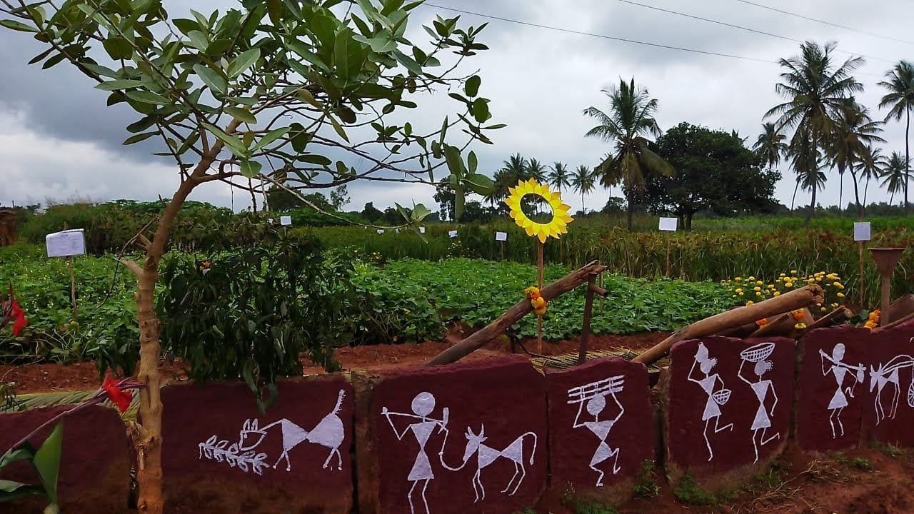 crop museum-krishirathna – DEPARTMENT OF AGRICULTURAL EXTENSION ...