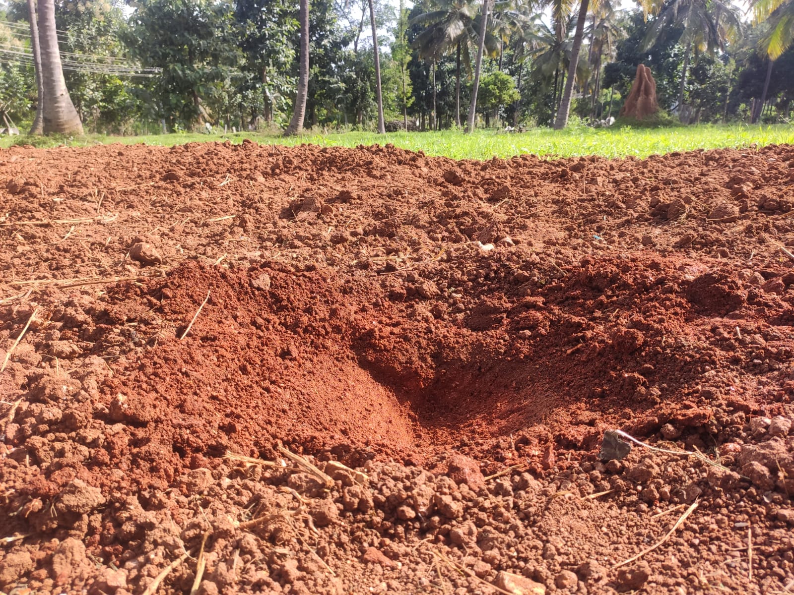 SOIL SAMPLE COLLECTION – DEPARTMENT OF AGRICULTURAL EXTENSION, COLLEGE ...