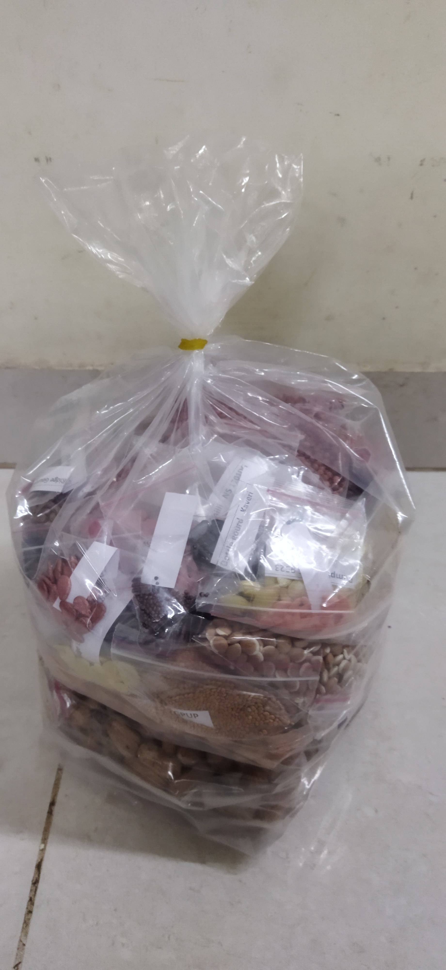 RAWE 2023 Crop Museums – DEPARTMENT OF AGRICULTURAL EXTENSION, COLLEGE ...