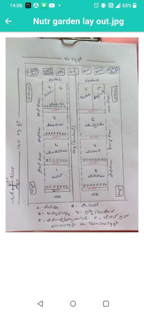 Nutritional Garden Model Layout – DEPARTMENT OF AGRICULTURAL EXTENSION ...